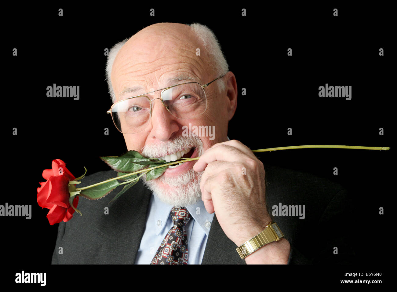 A handsome senior man with a red rose in his teeth Isolated on black ...