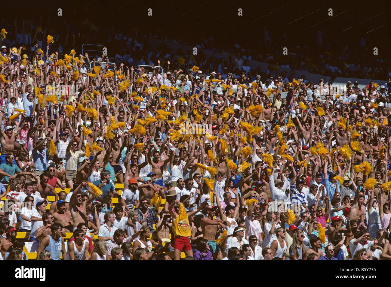 College Football Stadium Crowd