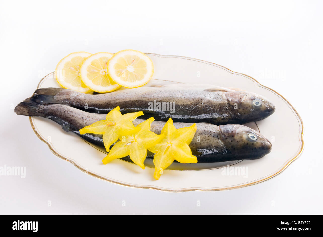 Trout well hi-res stock photography and images - Alamy