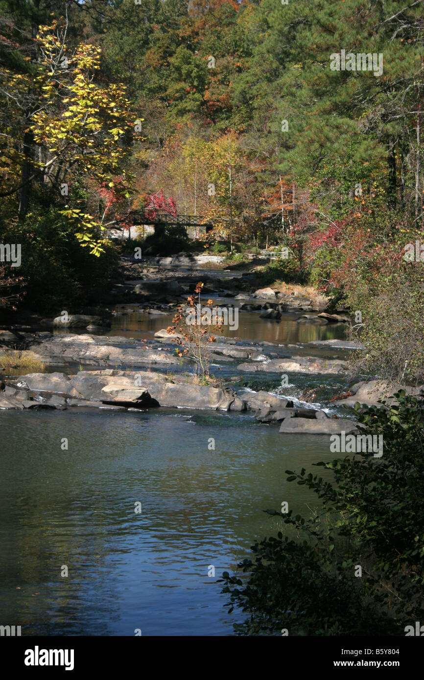 Creek environment hi-res stock photography and images - Alamy