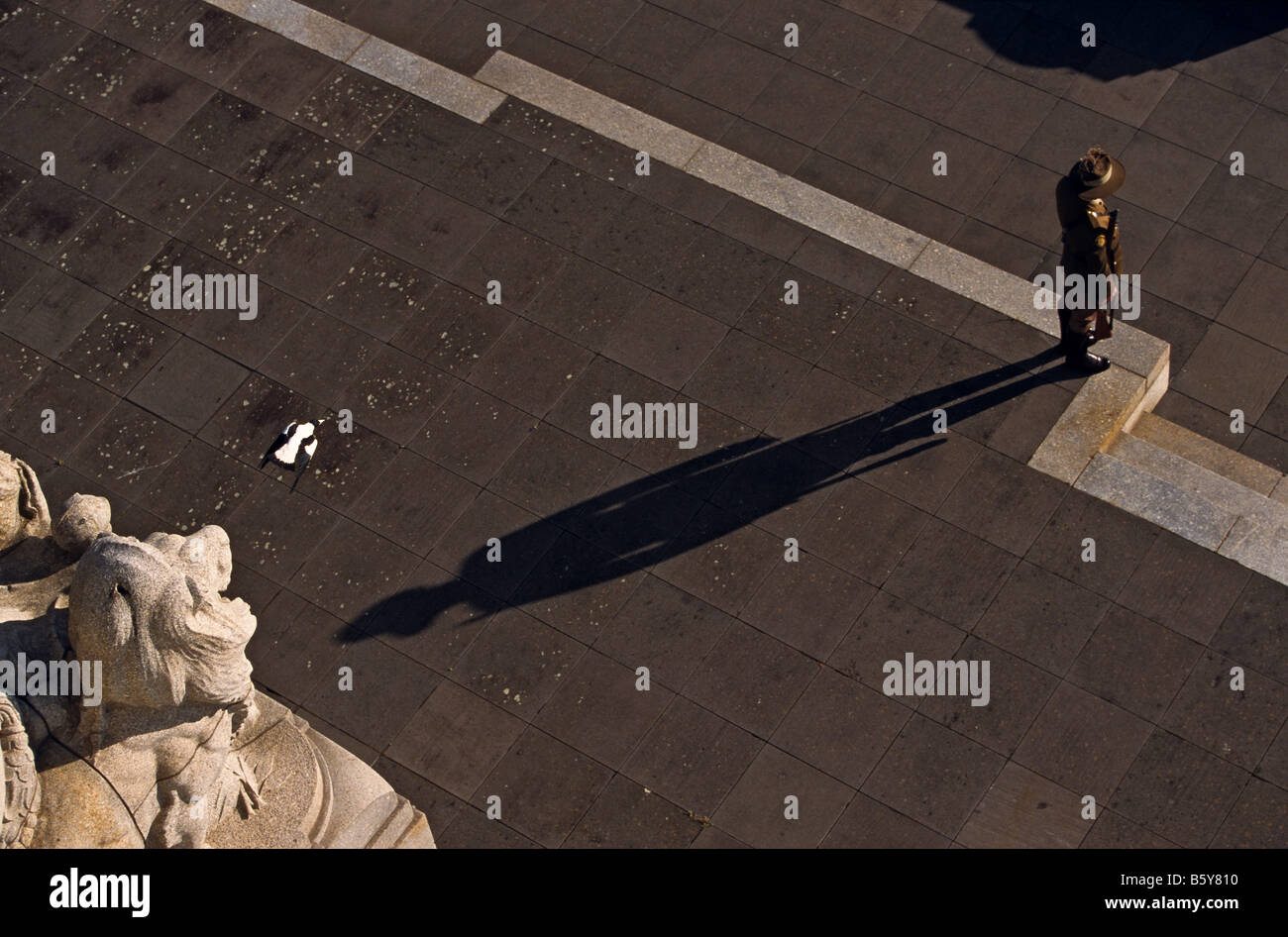 Swooping magpie, Melbourne, Australia Stock Photo - Alamy