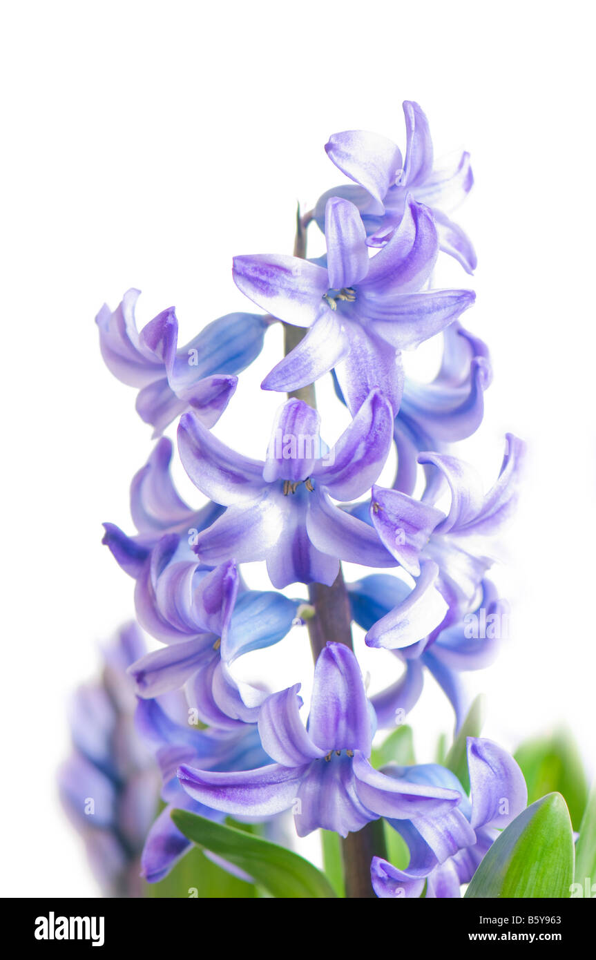 Brightness symbol hi-res stock photography and images - Alamy