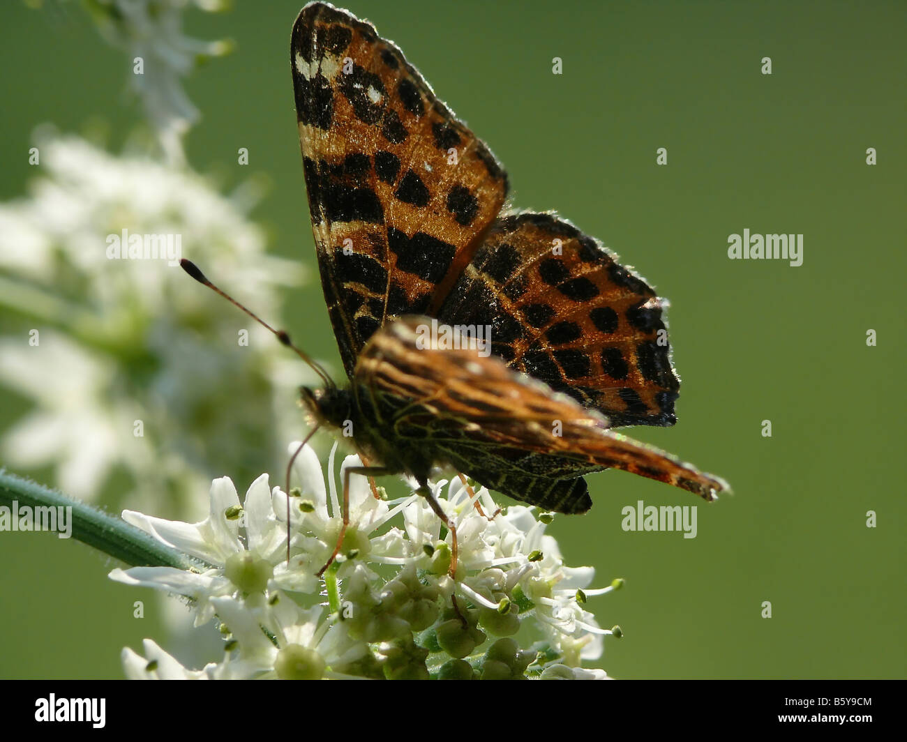 Small map hi-res stock photography and images - Alamy