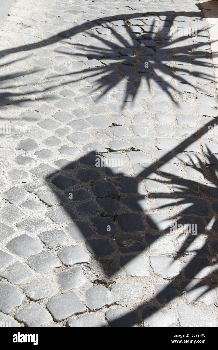 road sign notice shadow on street road in city town Stock Photo - Alamy