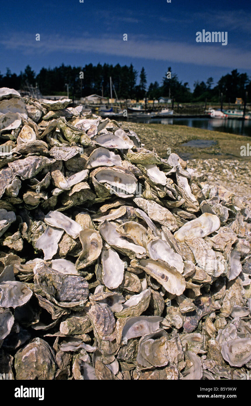 Oyster processing plant with oyster shells piles up along harbor ...