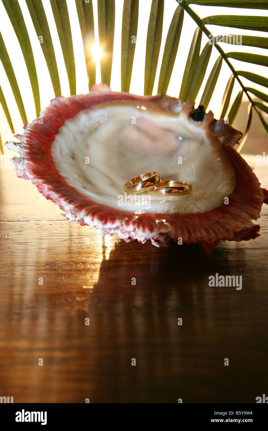 Gold shell jewelry hi-res stock photography and images - Alamy