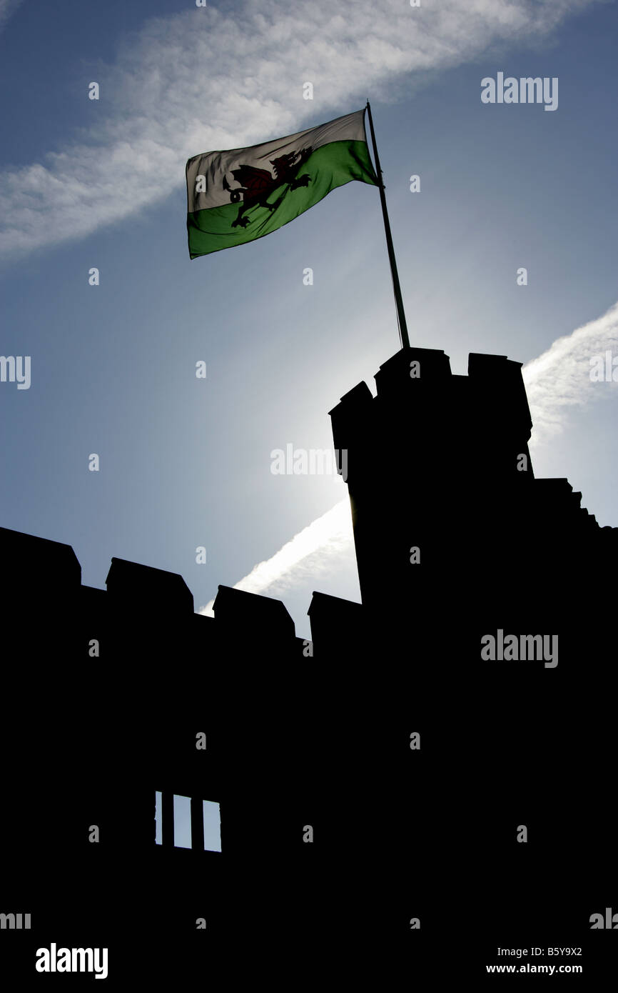 City of Cardiff, Wales. The Welsh national flag of the Red Dragon ...