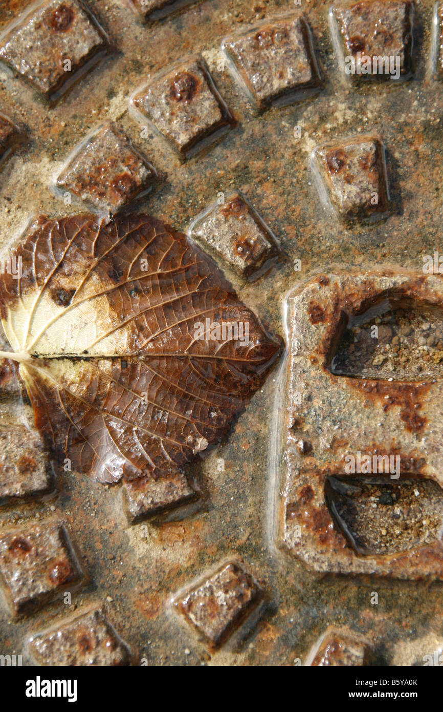 Wet manhole hi-res stock photography and images - Alamy