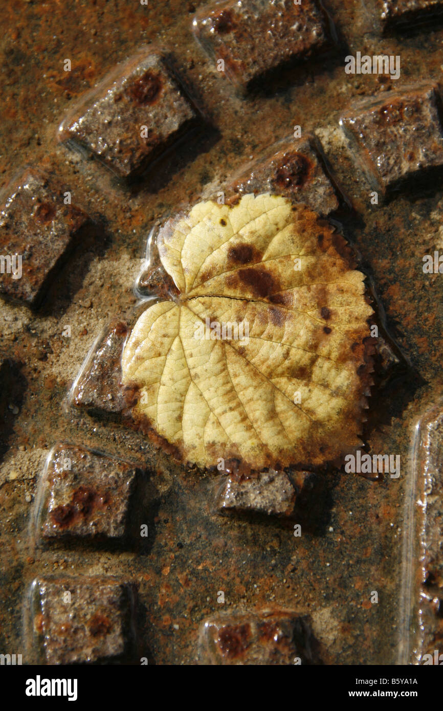 Wet manhole hi-res stock photography and images - Alamy