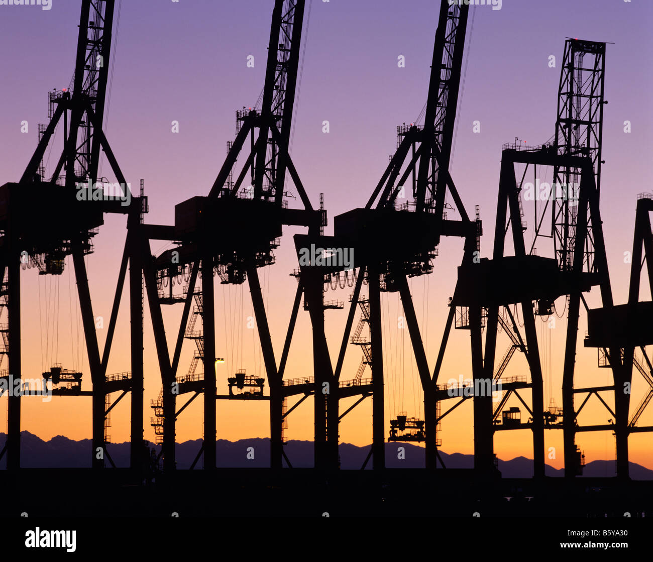 Port of Seattle at sunset with large cranes silhouetted Seattle ...