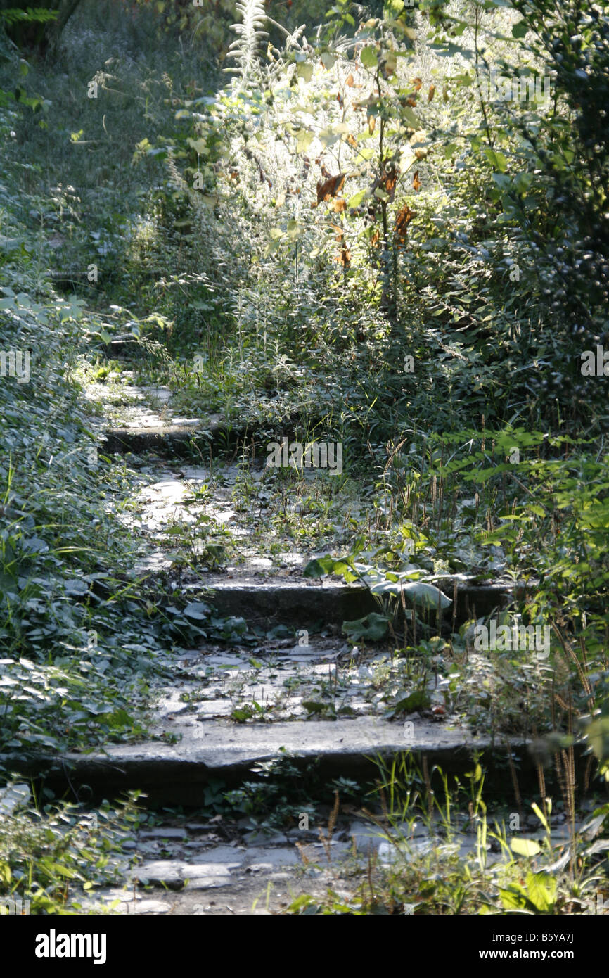 empty rural country foot path in sun outdoors Stock Photo - Alamy