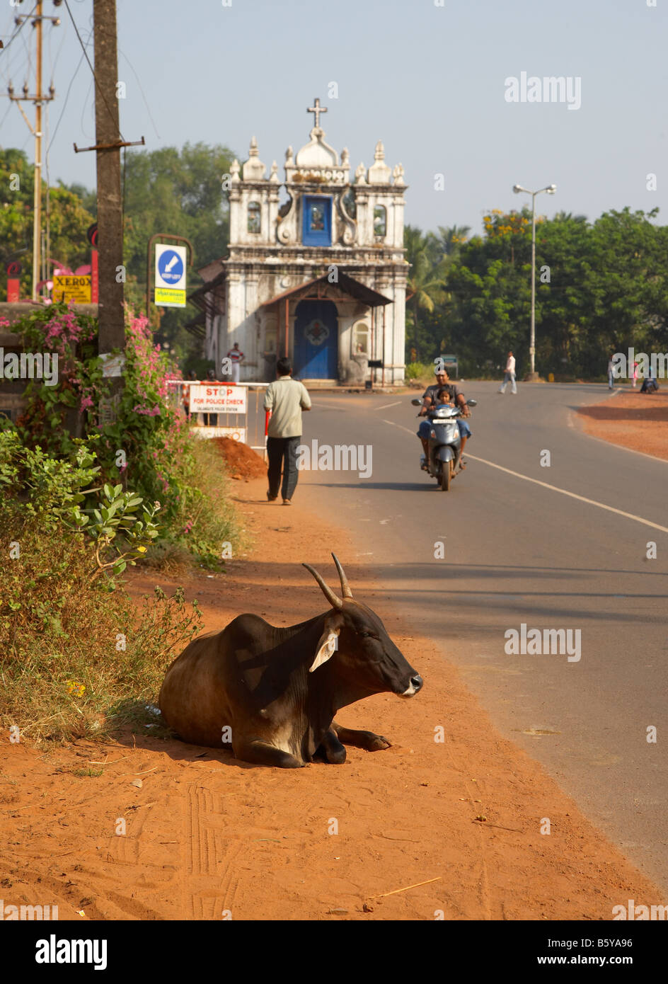 Cow india road hi-res stock photography and images - Alamy