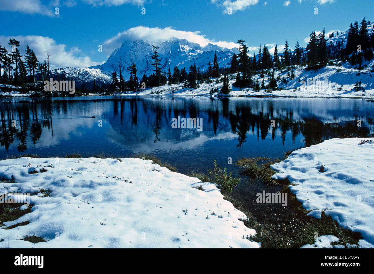 Picture Lake with shoreline covered with snow with Mount Shuksan in ...