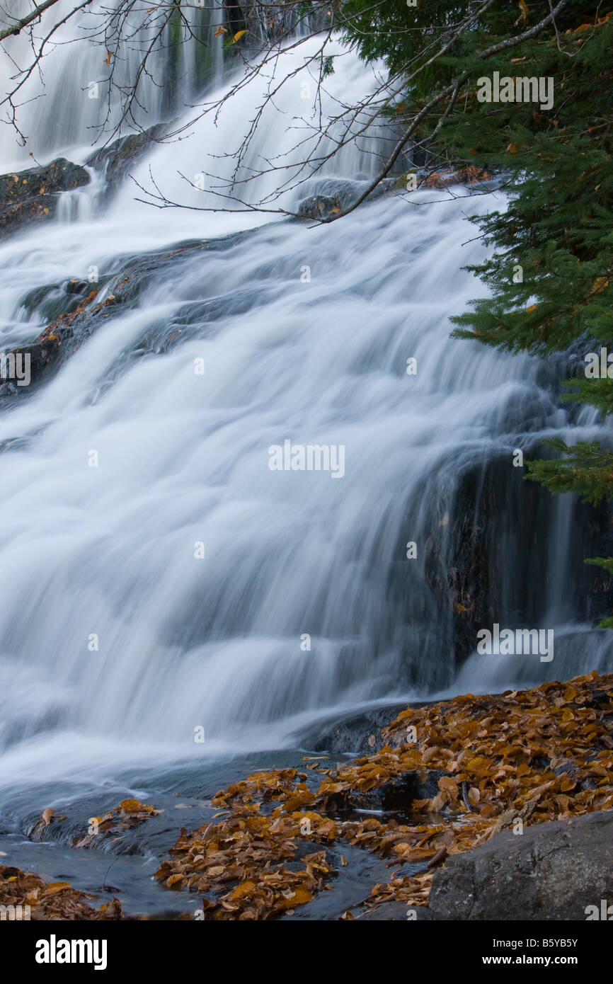 Bond Falls, Ottawa National Forest, near Calderwood MI Stock Photo - Alamy