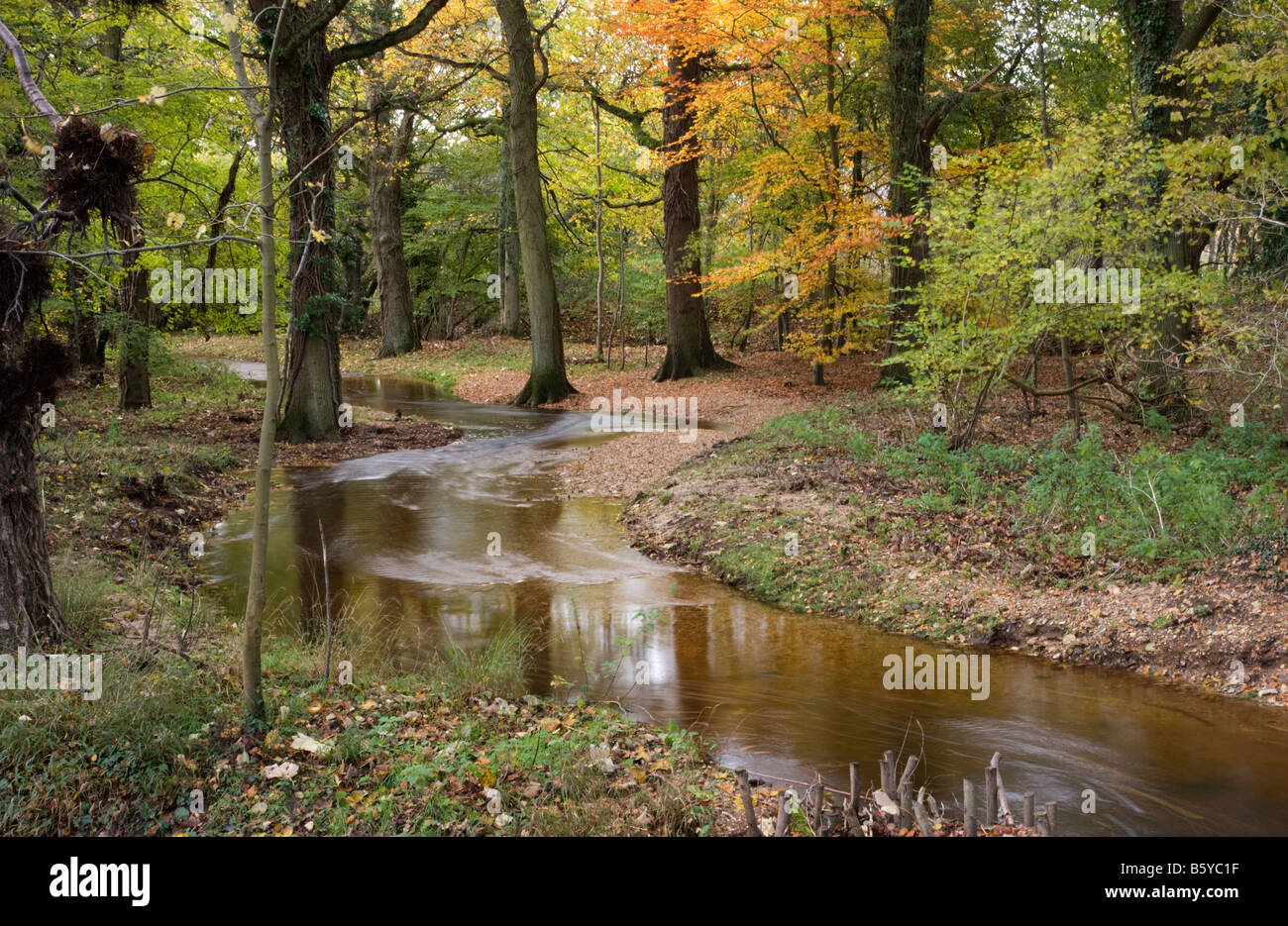 Fall river scene hi-res stock photography and images - Alamy