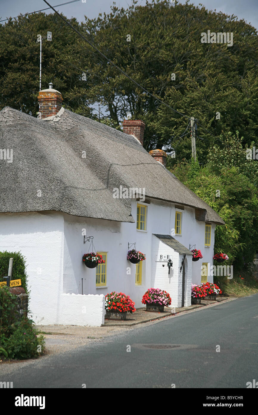 Thatched cottage in Winfrith Newburgh, Dorset, England, UK Stock Photo ...