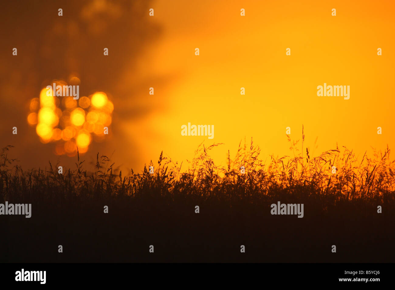 Beautiful misty sunset Stock Photo - Alamy
