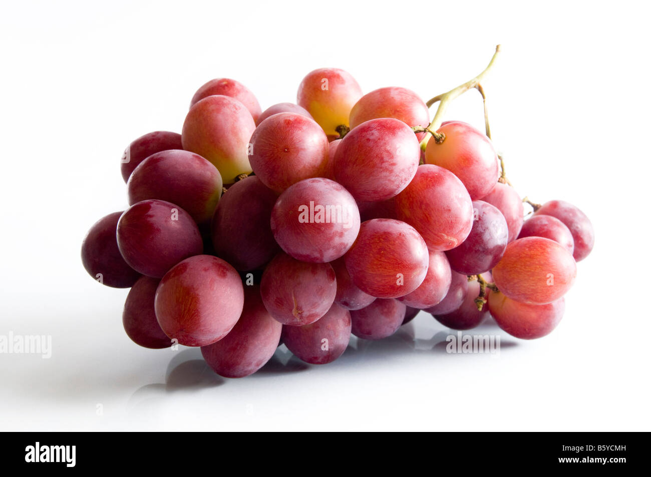 Growing grape Cut Out Stock Images & Pictures - Alamy