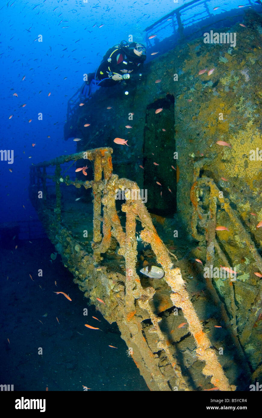 Wreck haven arenzano genova liguria hi-res stock photography and images ...