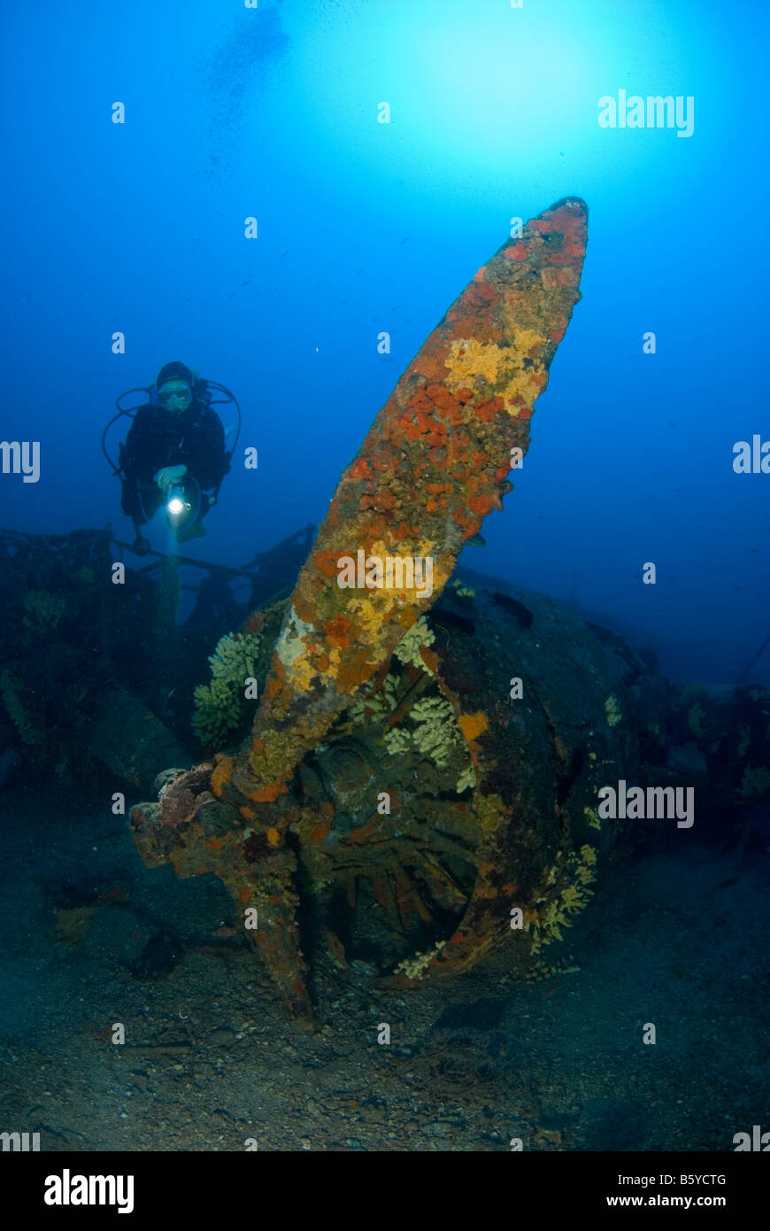 Cicogna hi-res stock photography and images - Alamy