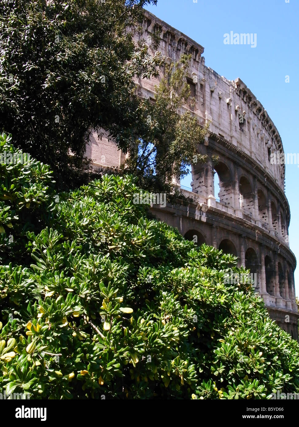 The Coliseum in Rome Stock Photo - Alamy