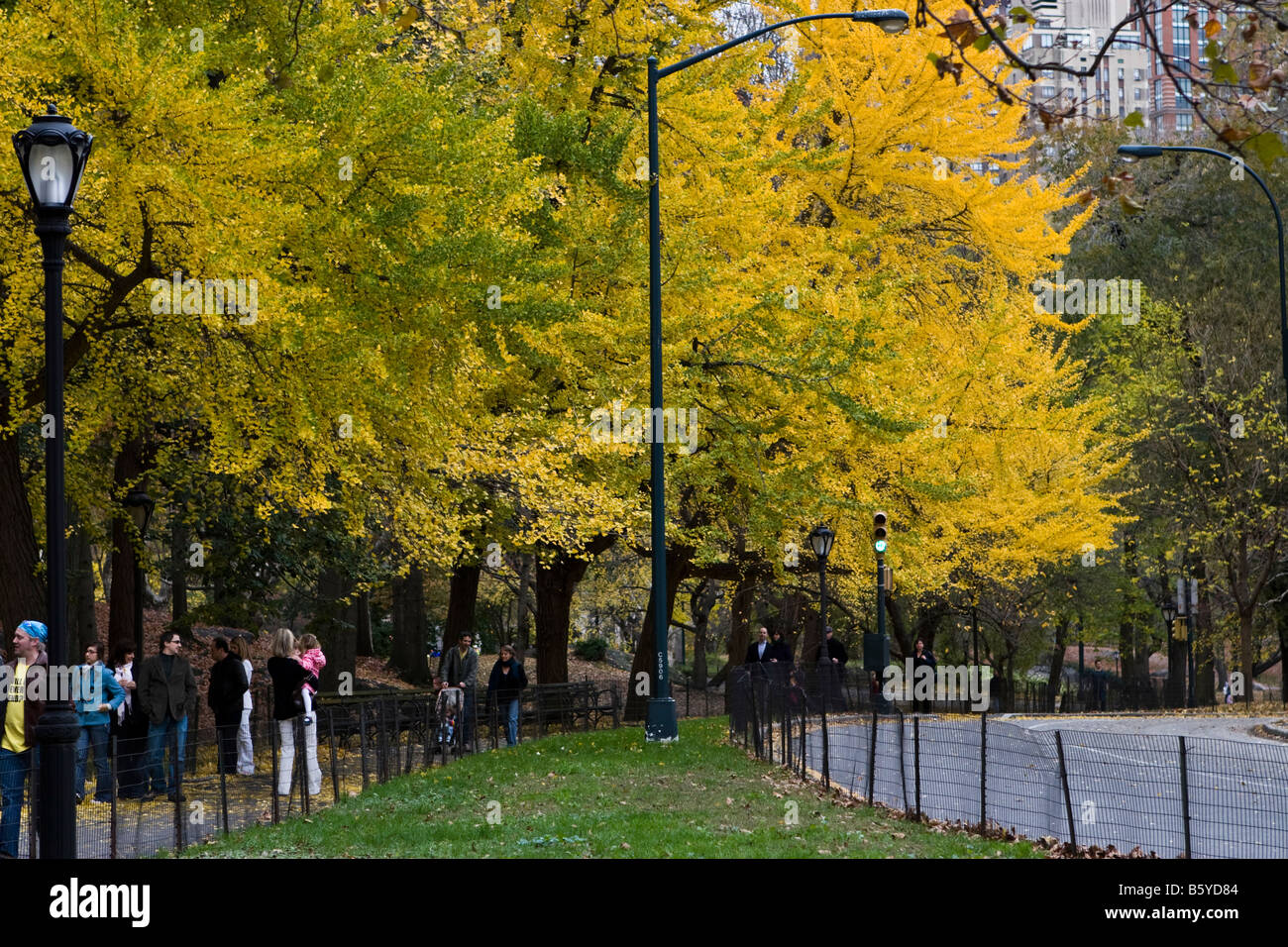Stroll through the park hi-res stock photography and images - Alamy