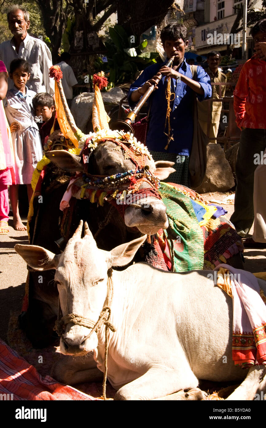 Sankranti celebrations hi-res stock photography and images - Alamy