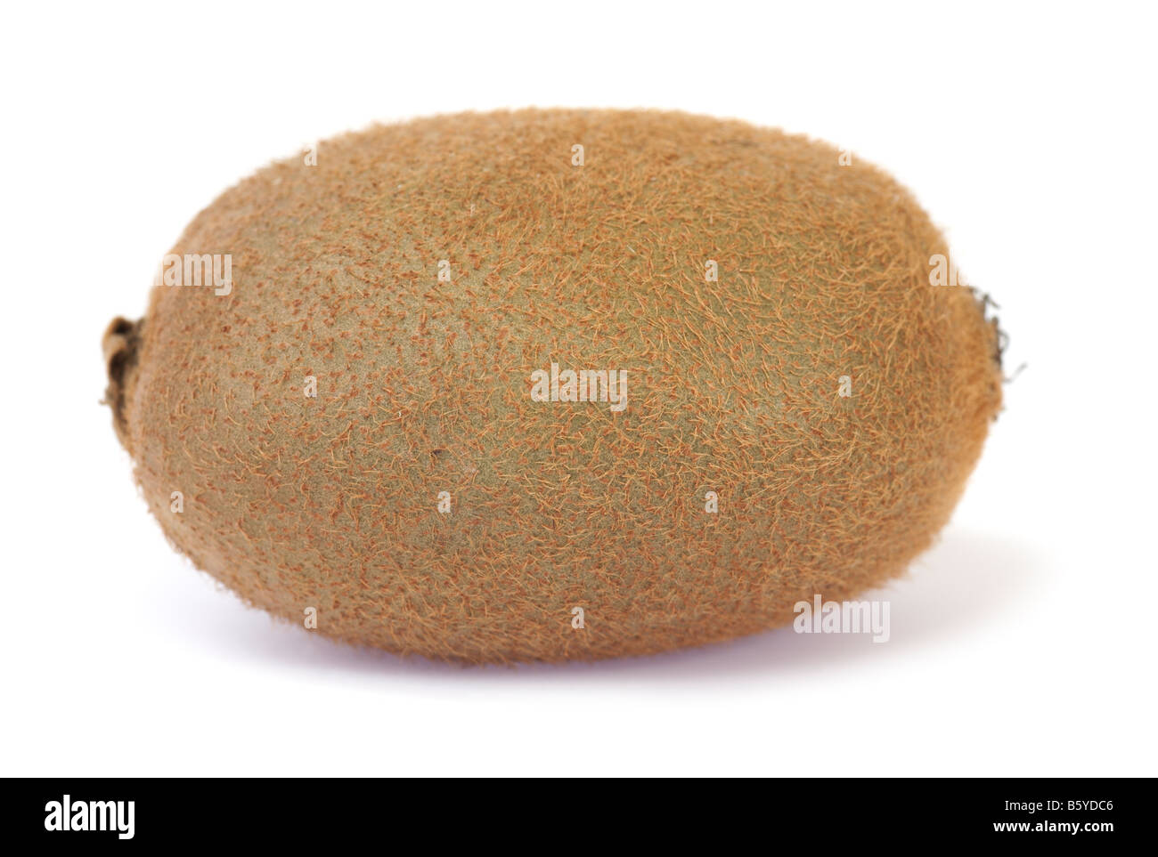 whole kiwi fruit isolated on white background Stock Photo - Alamy