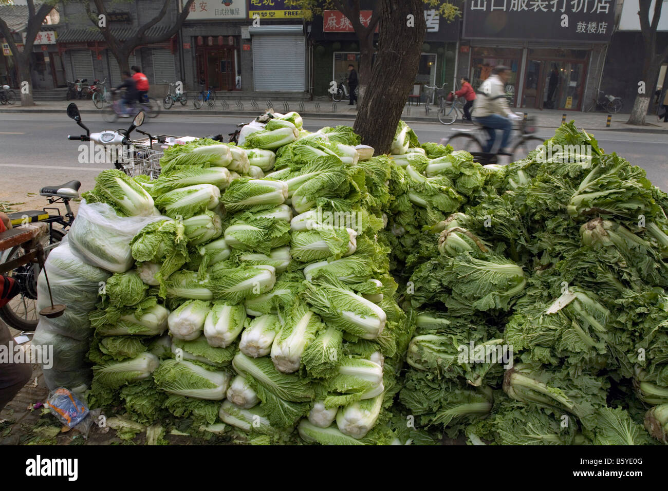 Stacked cabbage in a Hutong neighborhood traditional housing in Beijing ...