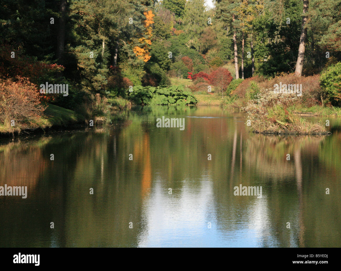 Leonardslee gardens hi-res stock photography and images - Alamy