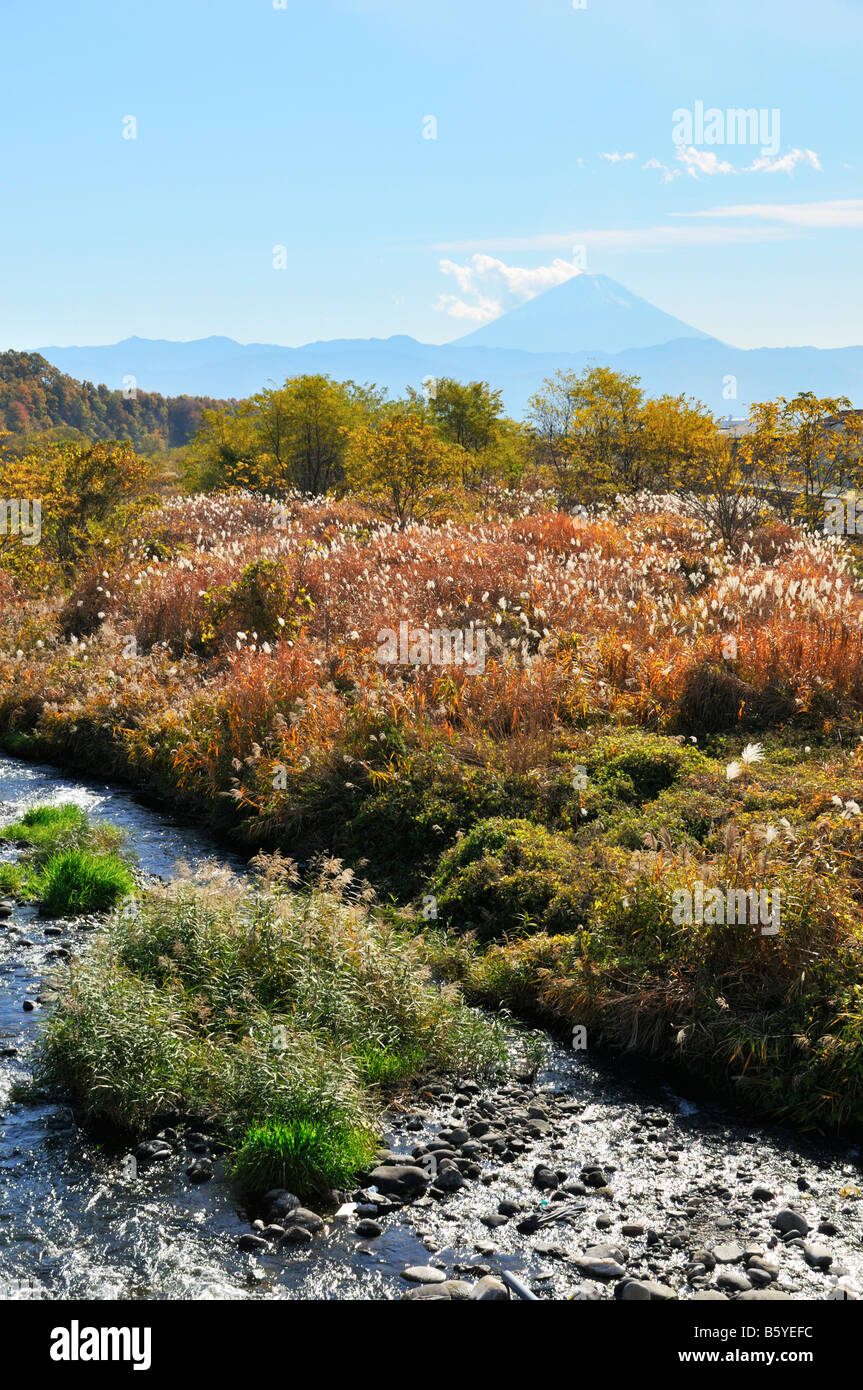 The Shio river towards Mount Fuji during colorful fall, Nirasaki JP ...