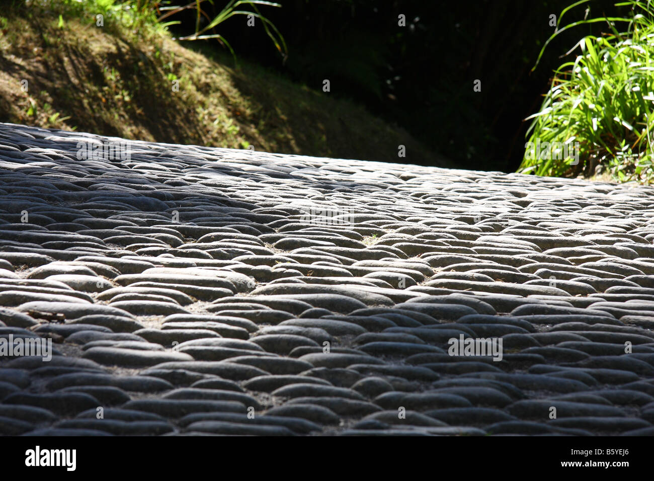 Path of cobbles hi-res stock photography and images - Alamy