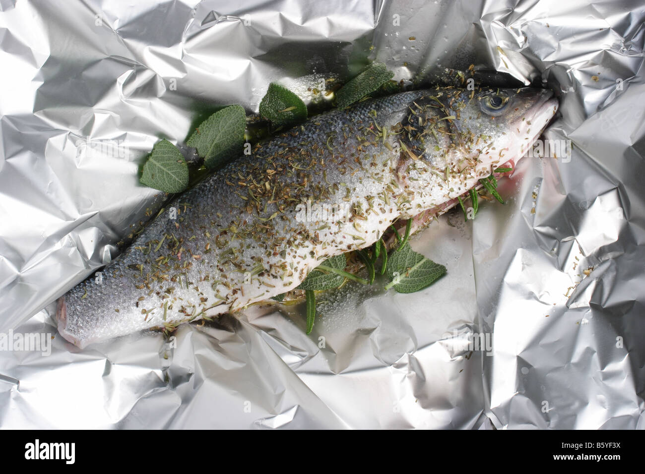 Tinfoil cook fish hi-res stock photography and images - Alamy