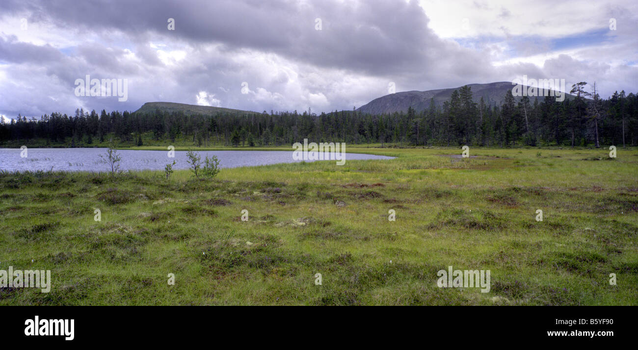 Rogen lake hi-res stock photography and images - Alamy
