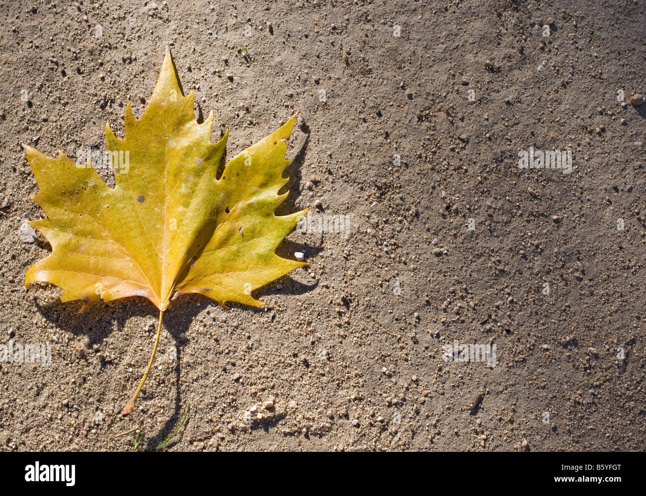 Autumn fall seasons hi-res stock photography and images - Alamy