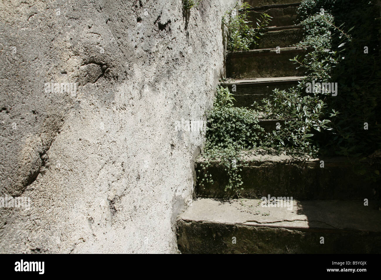 Weeds in stone steps hi-res stock photography and images - Alamy