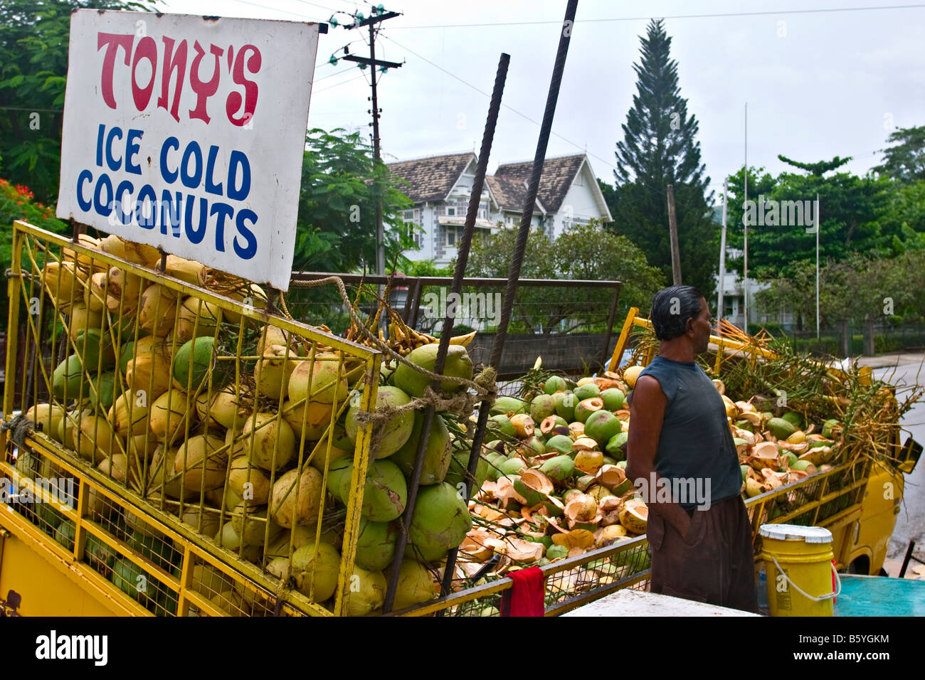Man selling fresh coconuts on the streets of Port of Spain, Trinidad ...