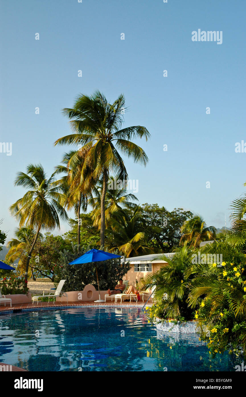 Grenada swimming pool private villa palm trees Spice Island Beach ...