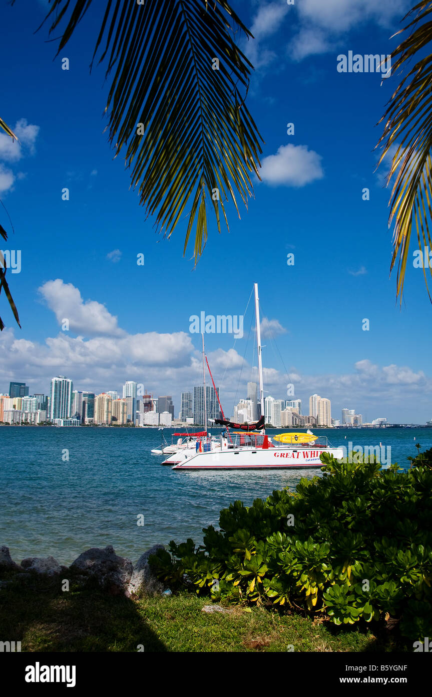 Catamaran in Miami Stock Photo - Alamy