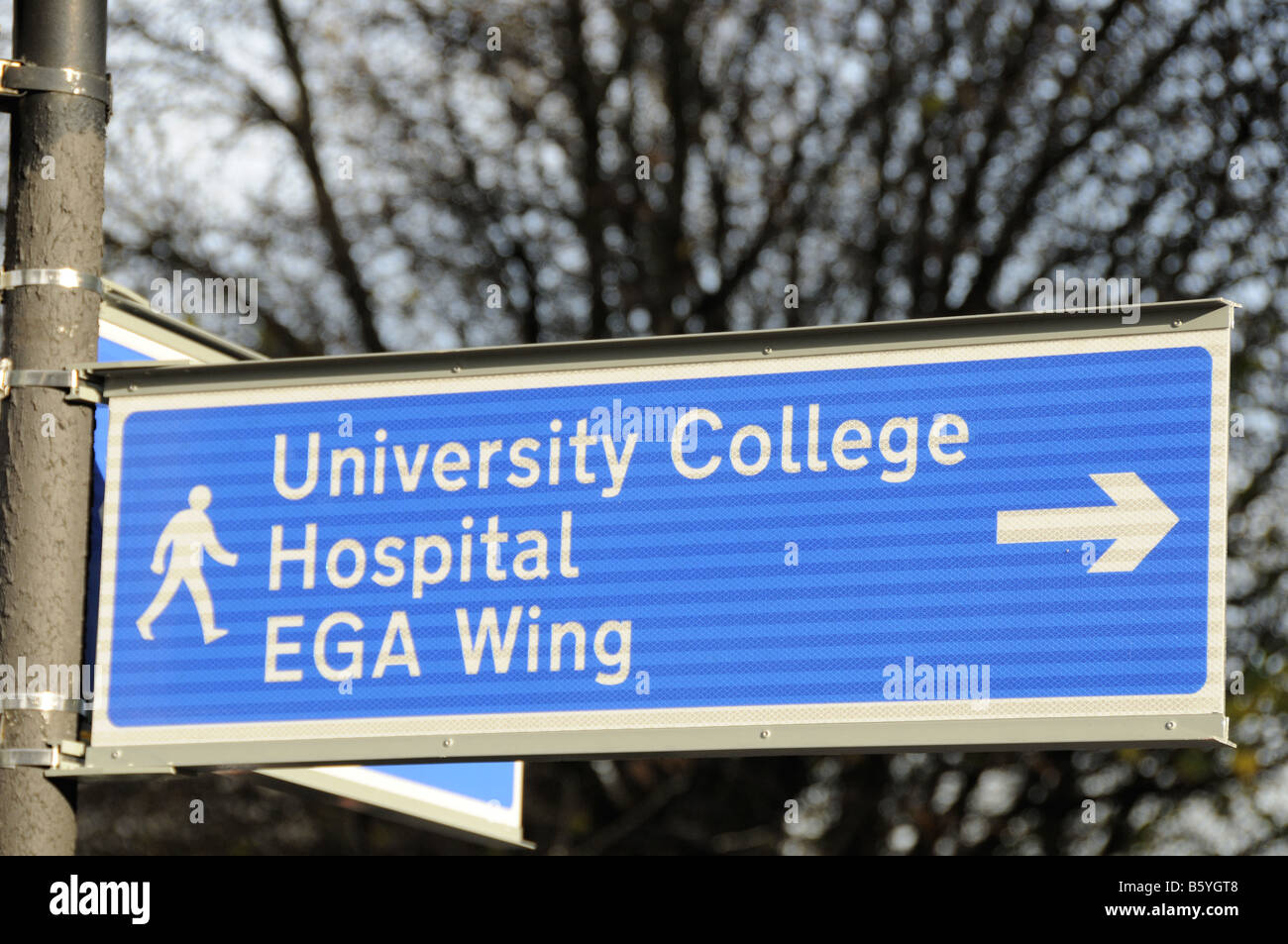 University College Hospital Logo