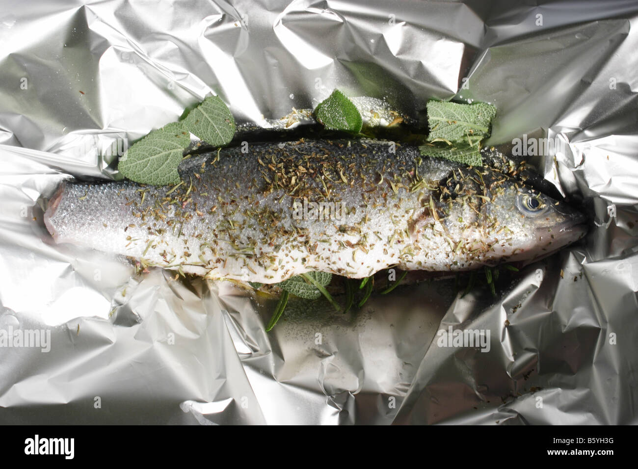 Tinfoil fish hi-res stock photography and images - Alamy