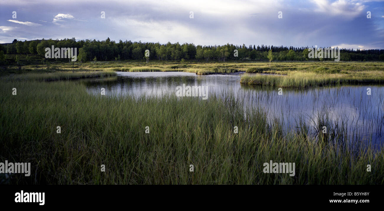 Lake in Rogen Sweden Stock Photo - Alamy