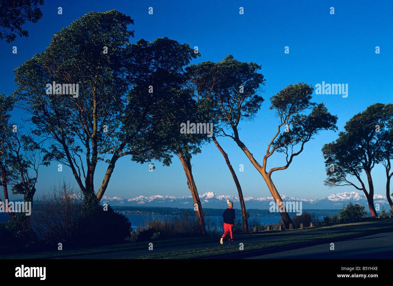 Sunrise with lone runner along path with Puget Sound and Olympic ...