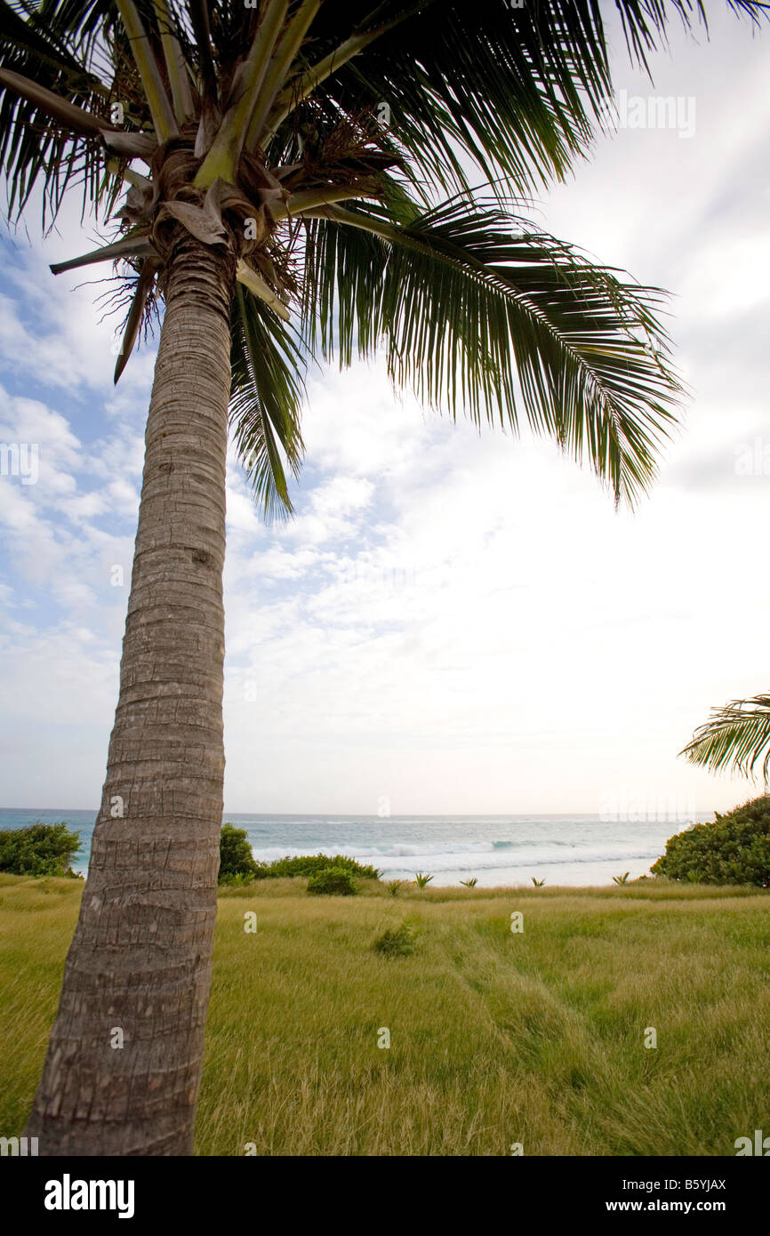 Barbados, Atlantic Ocean Stock Photo - Alamy