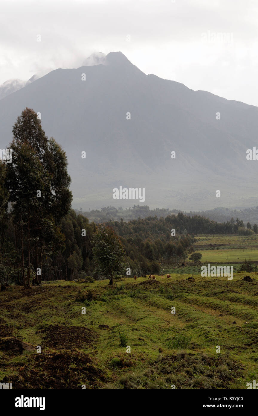 typical rural countryside farm land beside the volcanoes national park ...