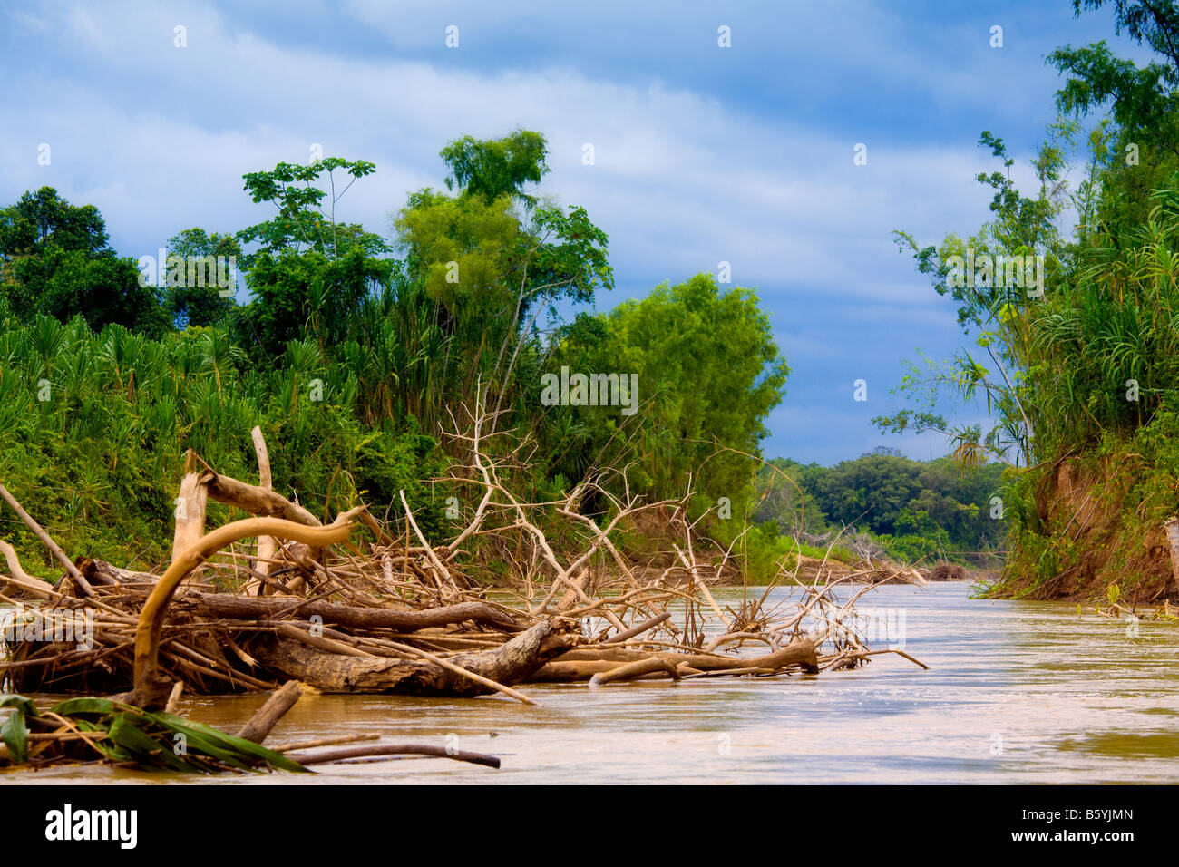 Manu peru hi-res stock photography and images - Alamy
