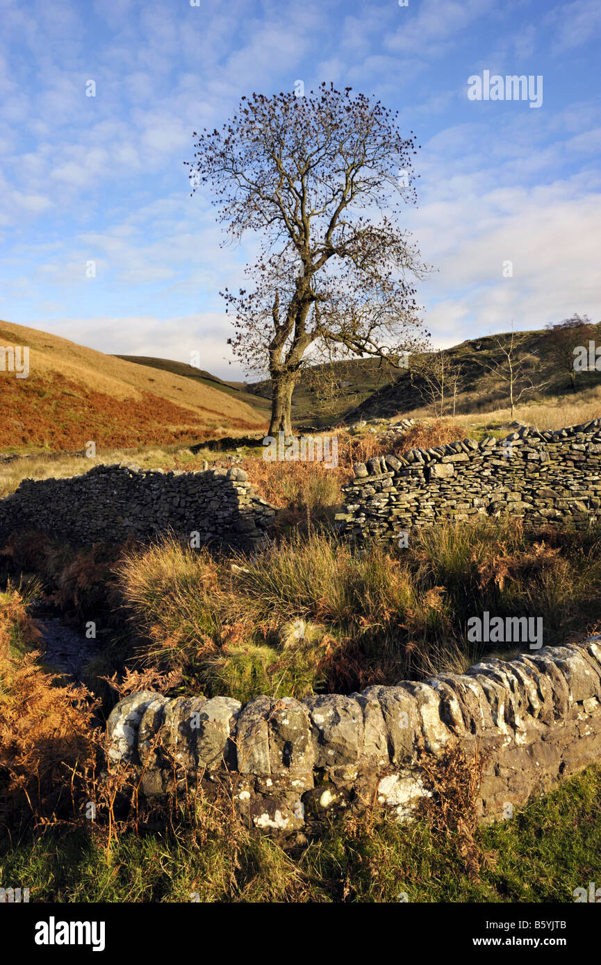 Autumn day, Peak District National Park moorland near Three Shires Head ...