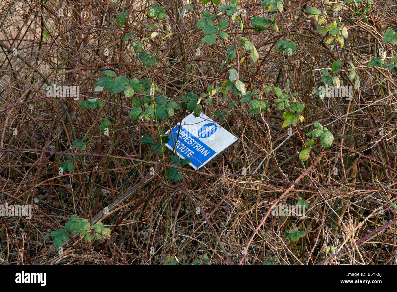 Pedestrian route sign in overgrown brambles Stock Photo - Alamy
