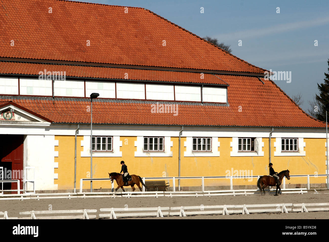 In a horse farm in Denmark Stock Photo - Alamy