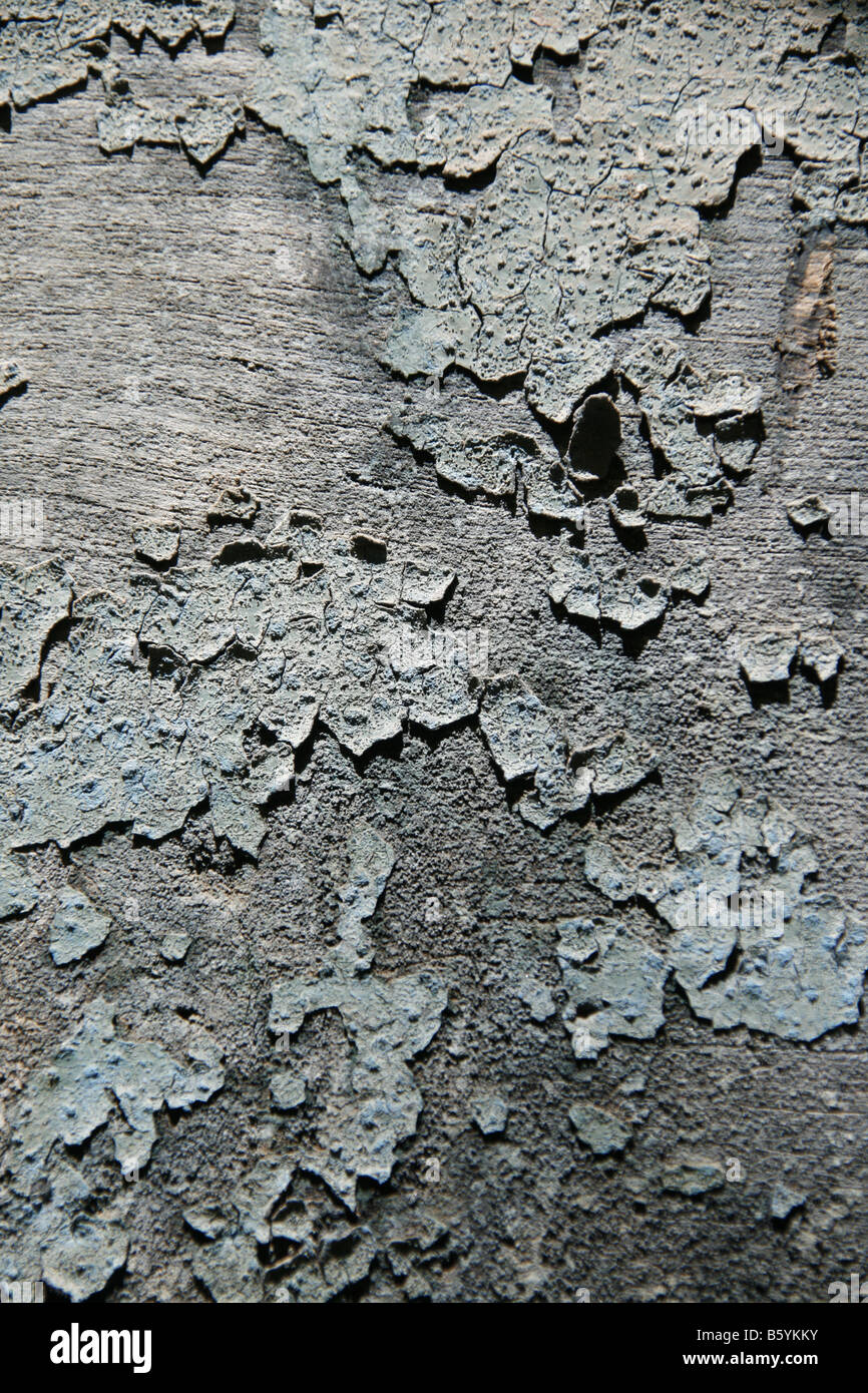 Flaking paint on an old shed door hi-res stock photography and images ...